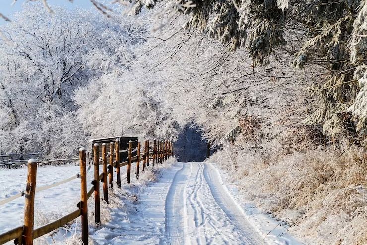 Montagne d’Ardèche en Hiver | Stations de Ski et Domaines Nordiques